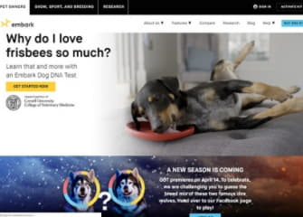 citybuzz